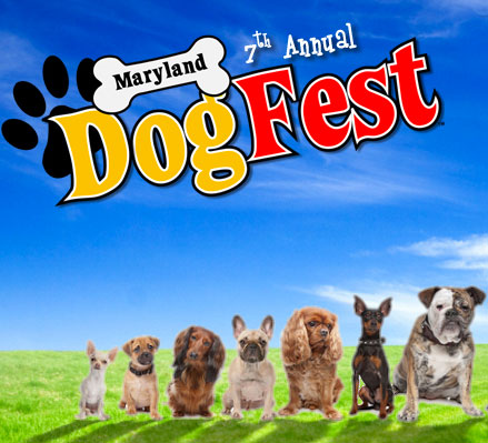7th Annual Maryland DogFest - The Everyday Dog Magazine